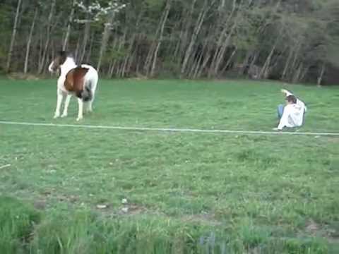 Comment monter et descendre d'un cheval ? La réponse est sur Admicile.fr