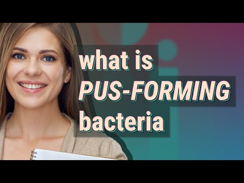 Pus-forming bacteria | meaning of Pus-forming bacteria