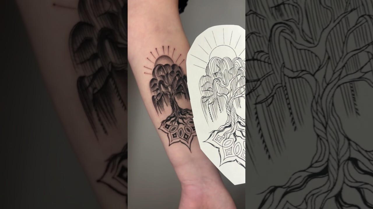 Willow tree tattoo #tattoo #tattooartist #tattoofun #tattooer #blackworktattoo