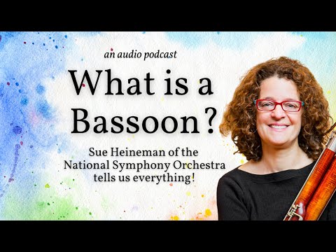What is a Bassoon? Sue Heineman of the National Symphony Orchestra tells us everything!