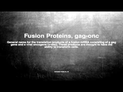Medical vocabulary: What does Fusion Proteins, gag-onc mean