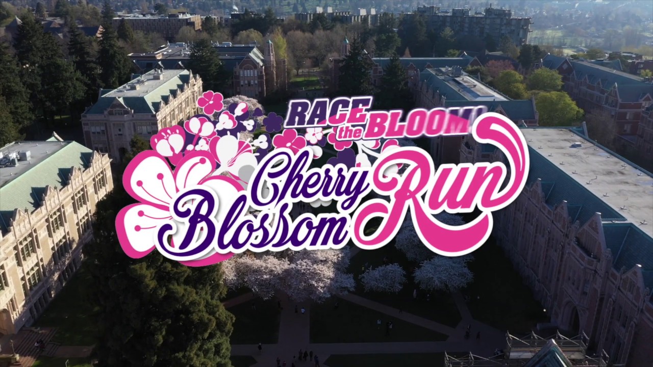 Cherry Blossom Run