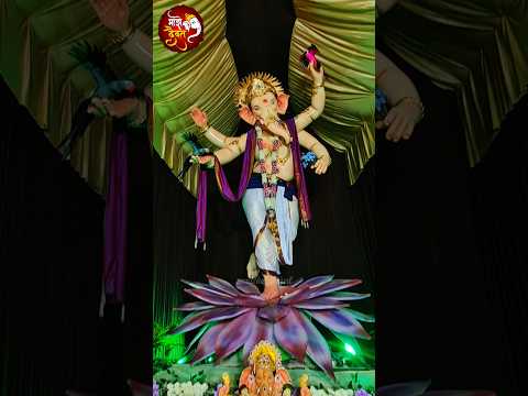 🌺 || MUMBAI CHA ICCHAPURTI || 🌺 #bappa #ganpatibappamorya #mumbai #morya #ganesh #ganpati #shorts