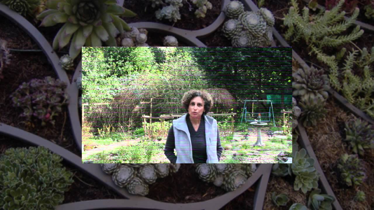 Understand: Edible Landscape