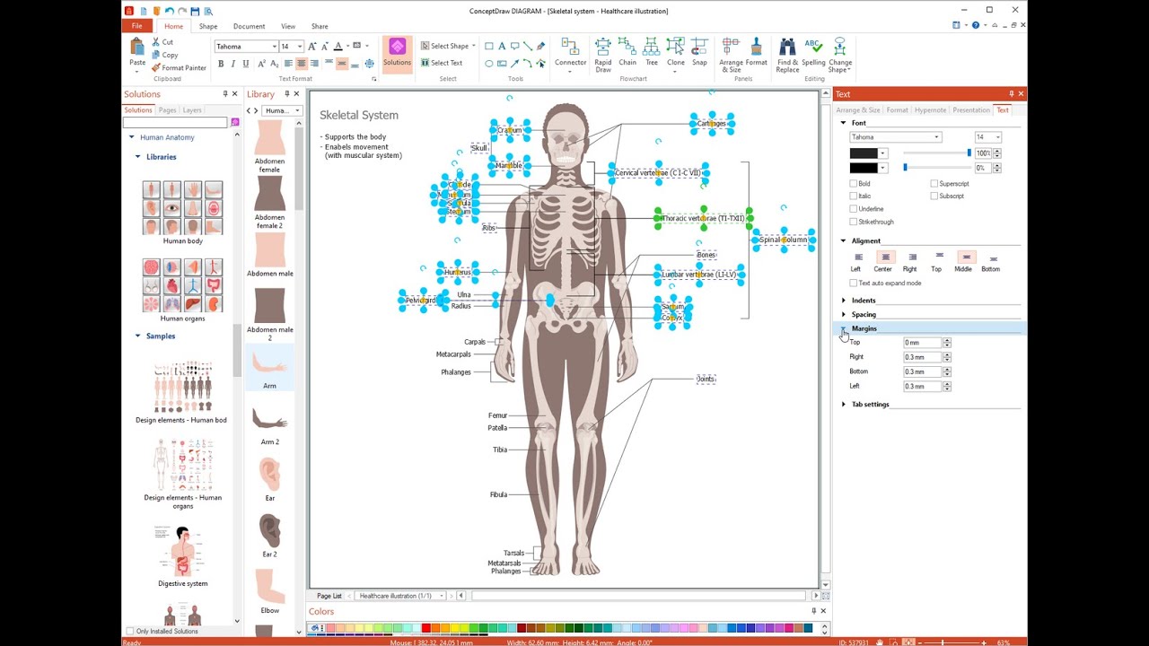 Human Anatomy Illustrations and Diagrams