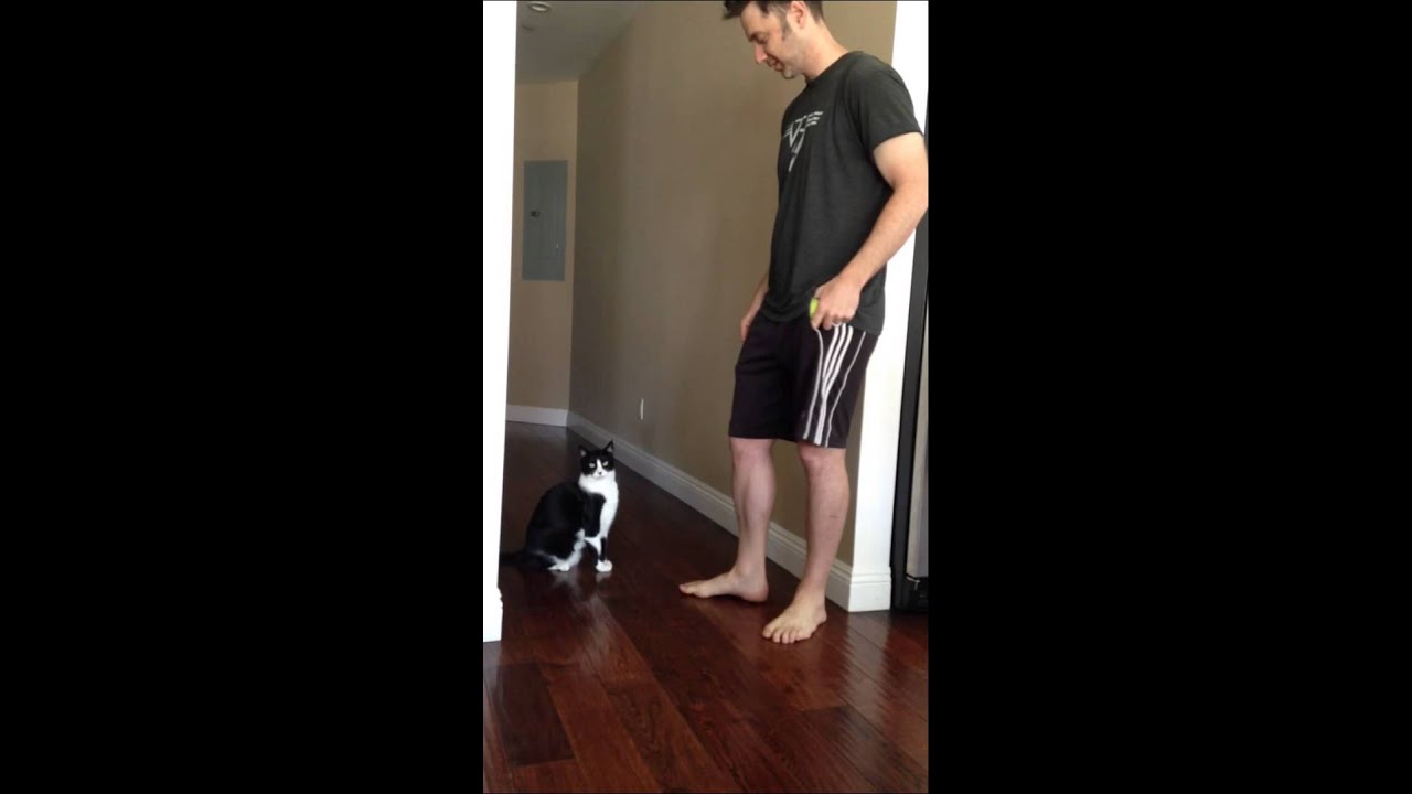 Best Kitty Hug Ever!