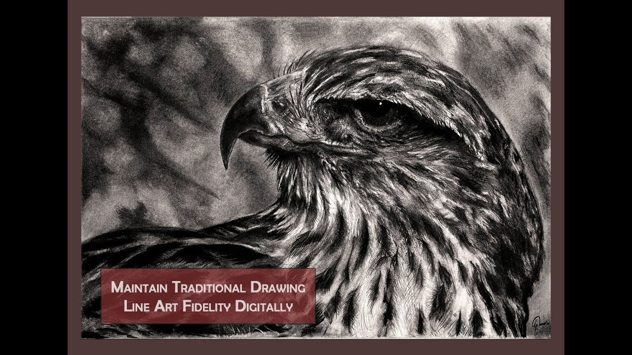 Maintain Your Traditional Line Art Fidelity Digitally - Bonus Parchment Paper Effect