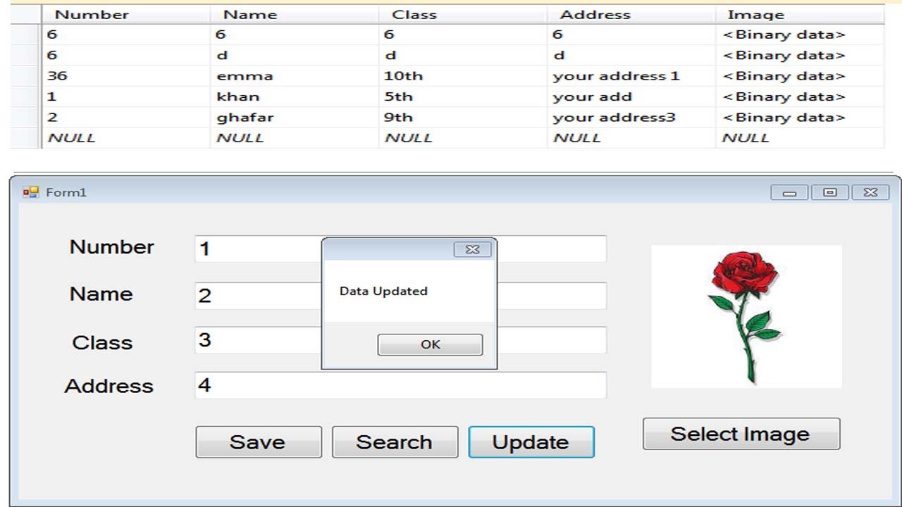 Update Query In Vb.net With Sql Server