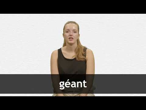 English Translation of “GÉANT” | Collins French-English Dictionary