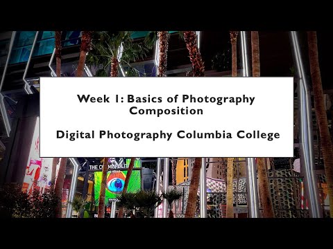 Week 1: Basics of Photography Composition