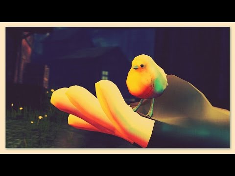 Steam Community :: Video :: Bird Companion