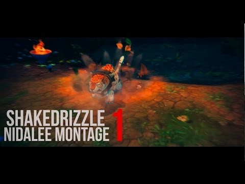 ShakeDrizzle奈德麗特輯-1 | 英雄聯盟