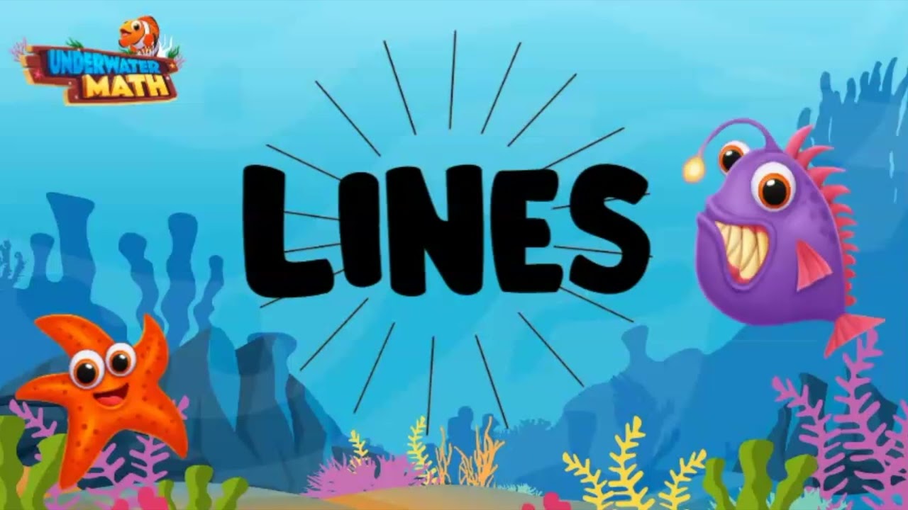 Skill Builder: Geometry | 3rd Grade Math