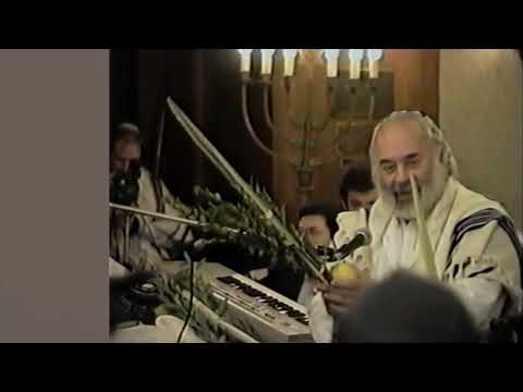 Shlomo Carlebach - Meaning & Importance of Hoshana Rabbah