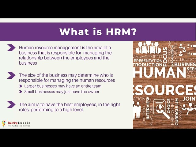 Understanding Human Resource Management and Its Impact on Business ...