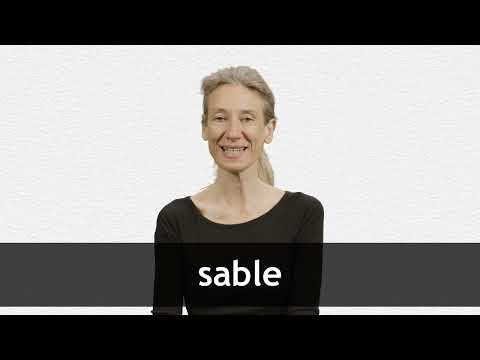 English Translation of “SABLE” | Collins French-English Dictionary