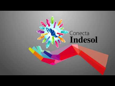 Noticiero Conecta Indesol No. 11 - 2018 | Instituto Nacional de ...