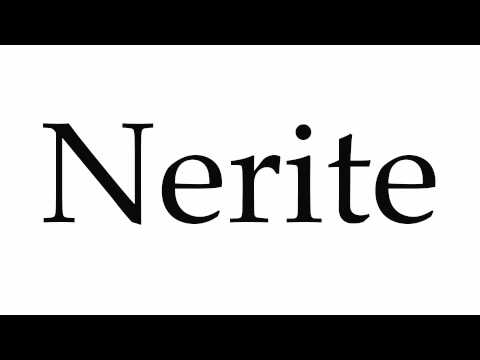 How to Pronounce Nerite