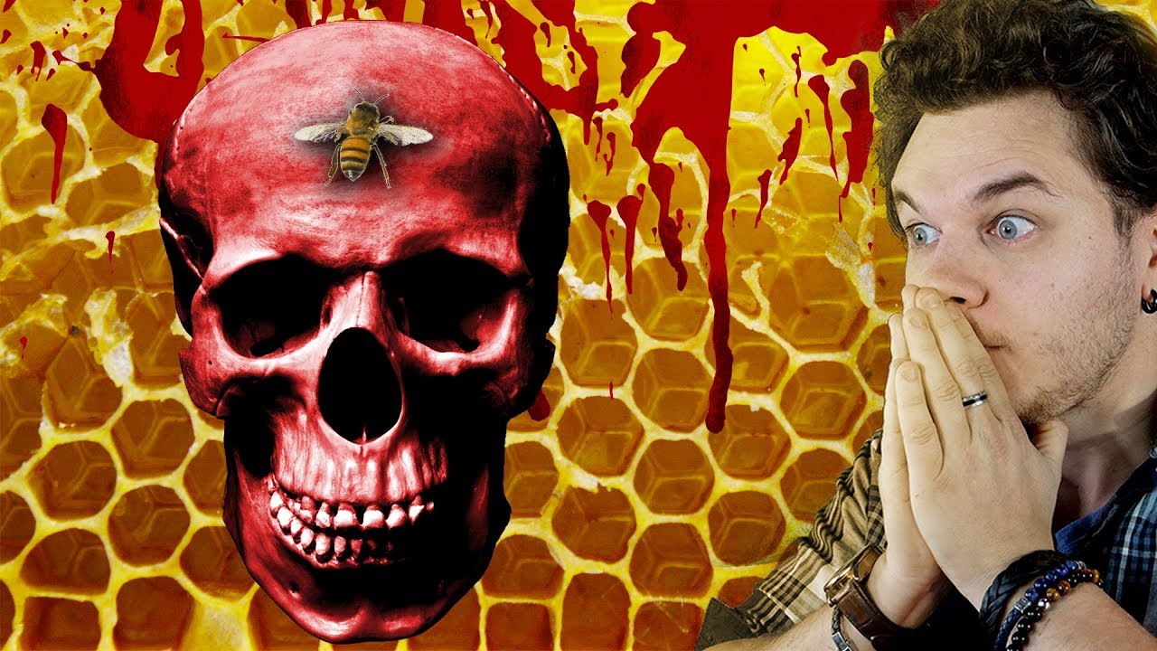 Et Si Les Abeilles Disparaissaient Demain ?! (en 360s)