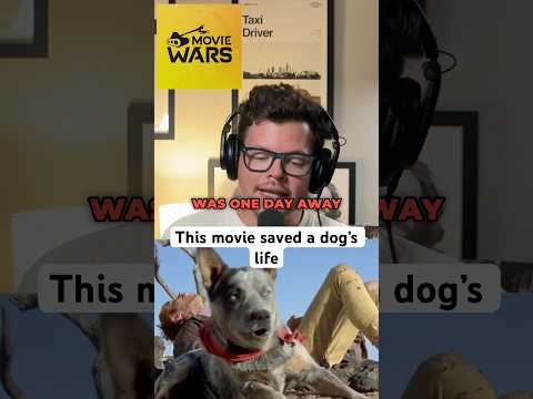 What’s your favorite movie dog? #dog #madmax #furiosa #movie #actor #actors #melgibson #moviescene