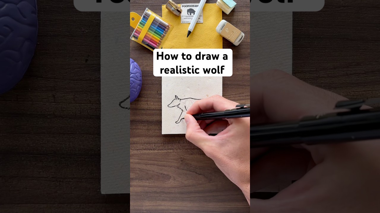 Secret to drawing realistic animals, is build from simple shapes. #wolf #drawingtutorial