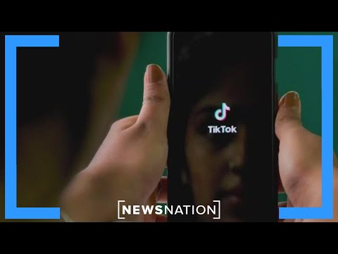 New poll shows 47% of Americans favor TikTok ban | The Hill