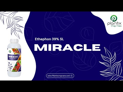 Ethephon - 2 Chloroethylphosphonic Acid Latest Price, Manufacturers ...