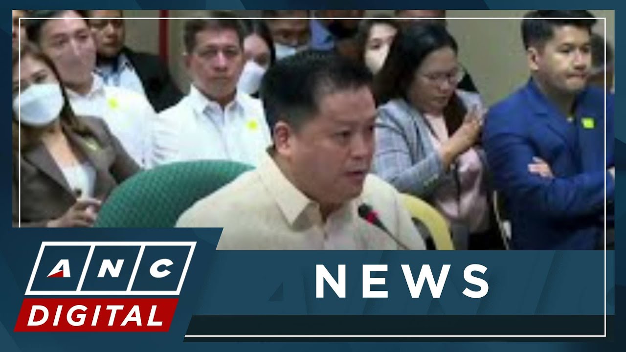 Commission on Appointments tackles Rex Gatchalian's appointment as DSWD chief | ANC
