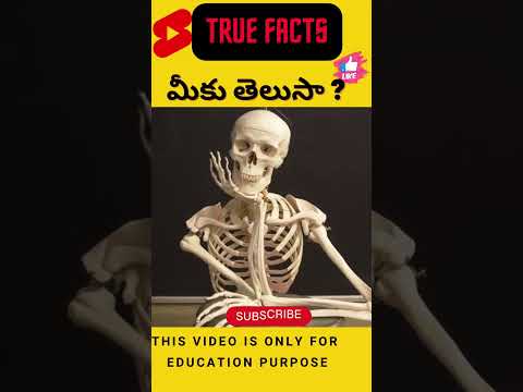 Facts about human bones 🦴 || #shorts #viral #trending #telugushorts #youtube #ytshorts