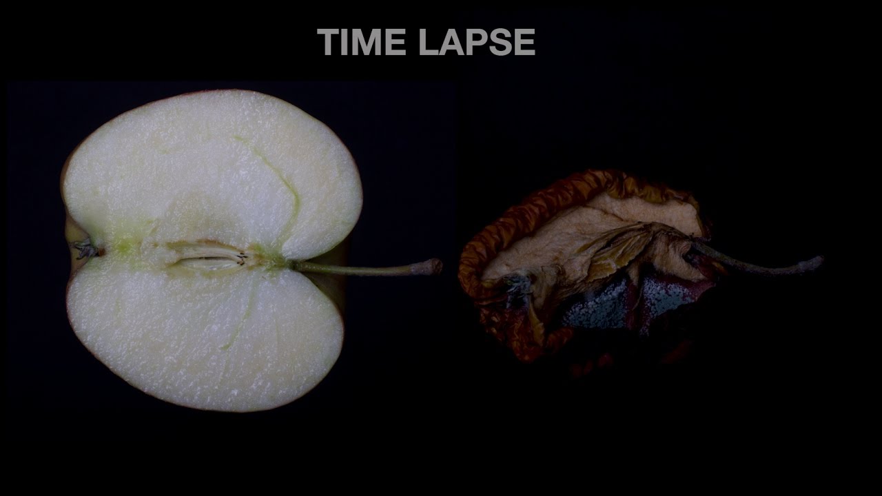 Rotten Apple Time Lapse (4K)