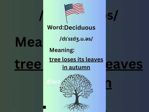How to Pronounce Deciduous in American Accent #learning #learnenglish