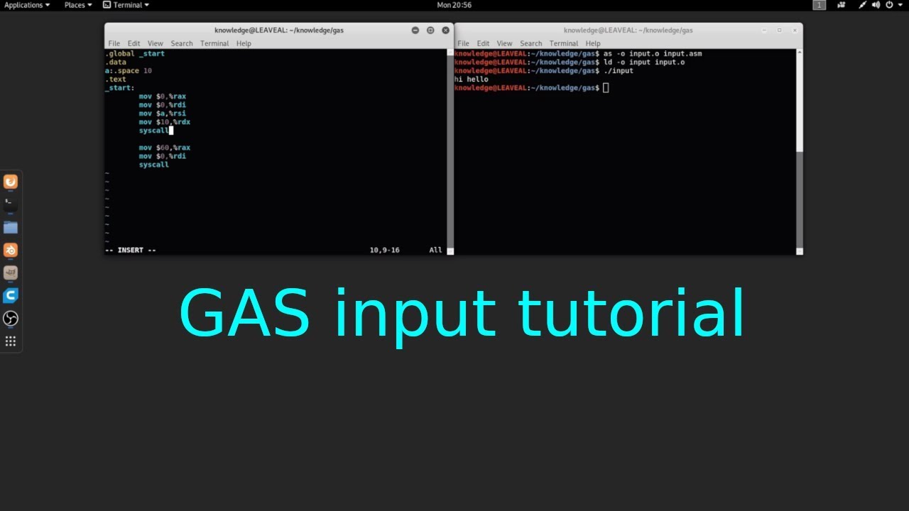 GAS x64 GNU Assembler input tutorial in Linux