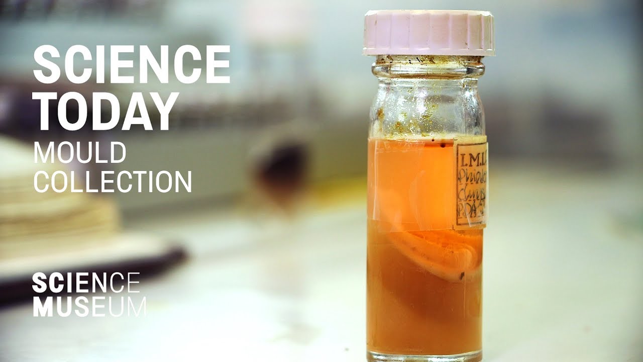 Inside the archive collecting historic moulds