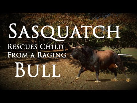 Dixie Cryptid YouTube Channel | Dickinson58601