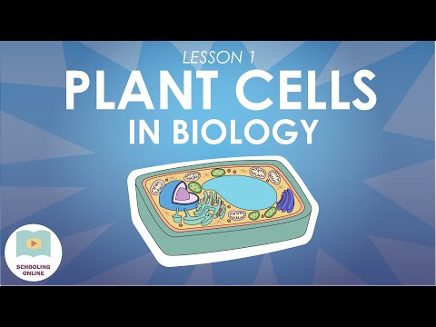 Structure and Function of Plant Cells - Lesson 1