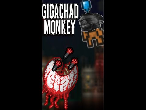 Steam Community :: Video :: Terraria Monkey Summon Makes Me A GIGACHAD