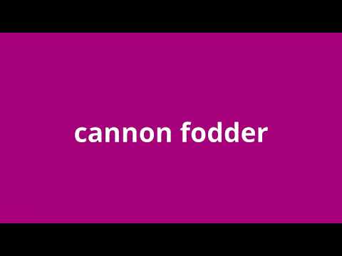 what is the meaning of cannon fodder.