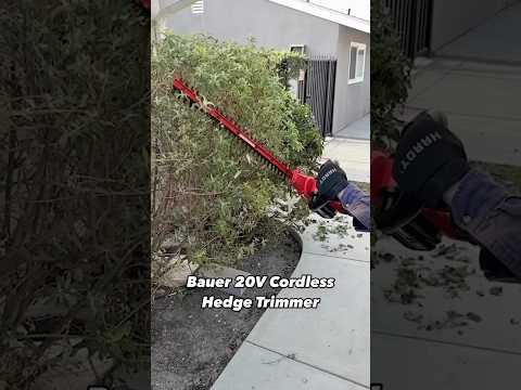 Bauer 20V Akku-Heckenschere | Harbor Freight