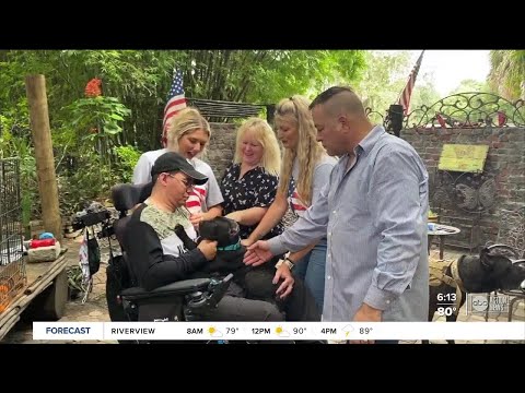 Nonprofit Corsos for Heroes pairs purebred service dogs with disabled veterans