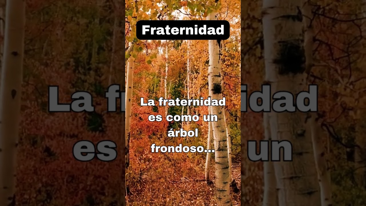 La fraternidad es como un árbol frondoso... #shorts  #frases