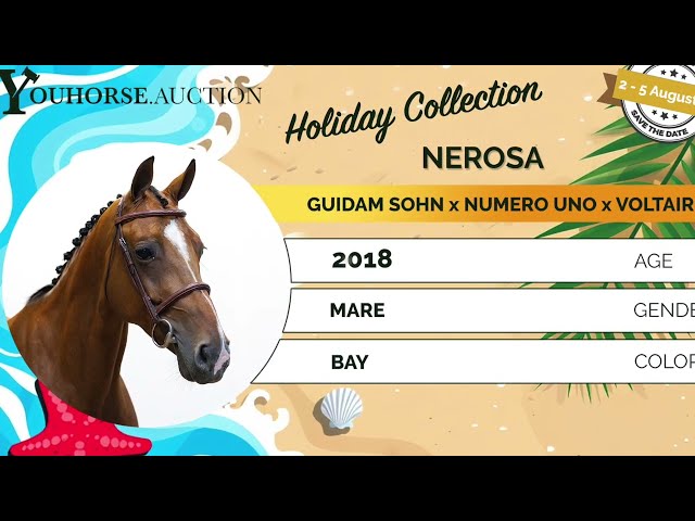Youhorse.auction | Nerosa
