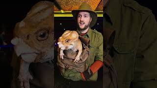 Protect Dolores at all costs ???? | Jurassic World Rebirth at Cineworld