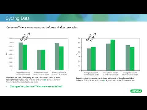 High Performance with GMP Ready CHT Prepacked Process-Scale Columns