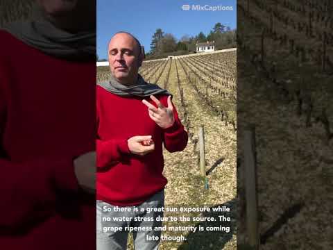 Présentation du Volnay 1er Cru Clos des Ducs un fantastique Monopole du Domaine Marquis d'Angerville