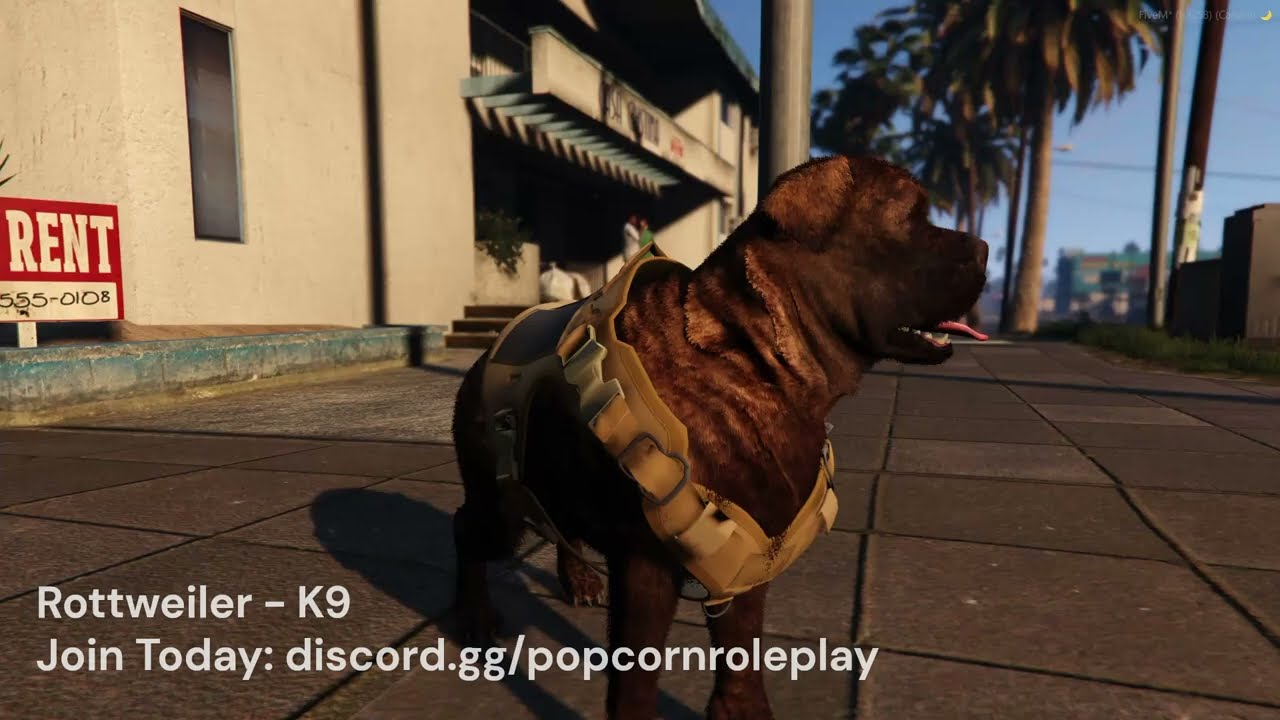 Rottweiler K9 (Chop K9) - Addon Dog Ped - FiveM Releases - Cfx.re Community