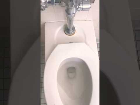 American Standard Madera Flush
