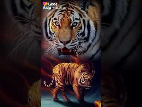 Neeraj Kumar Singh jila sitapur