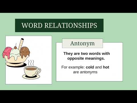 Synonyms Antonyms Analogies