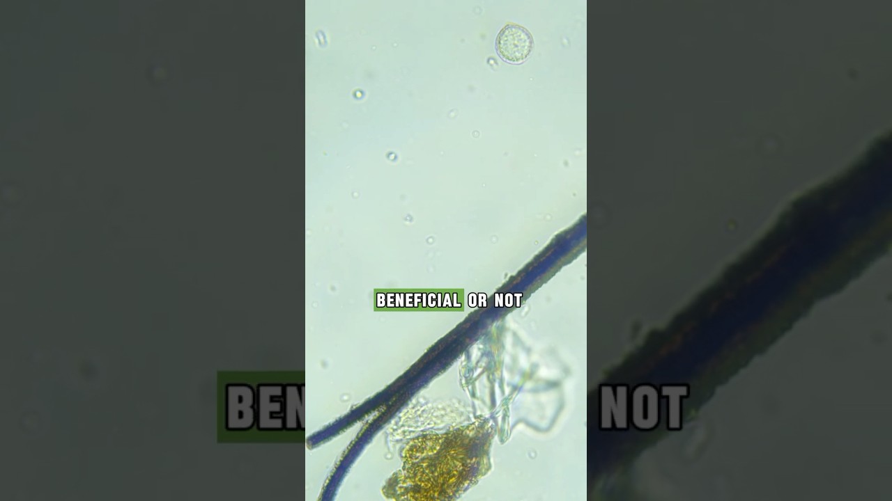 Why Some Plants THRIVE and Some Plants DON’T