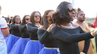 Sigma Gamma Rho Alpha Zeta Chapter Probate 2k17